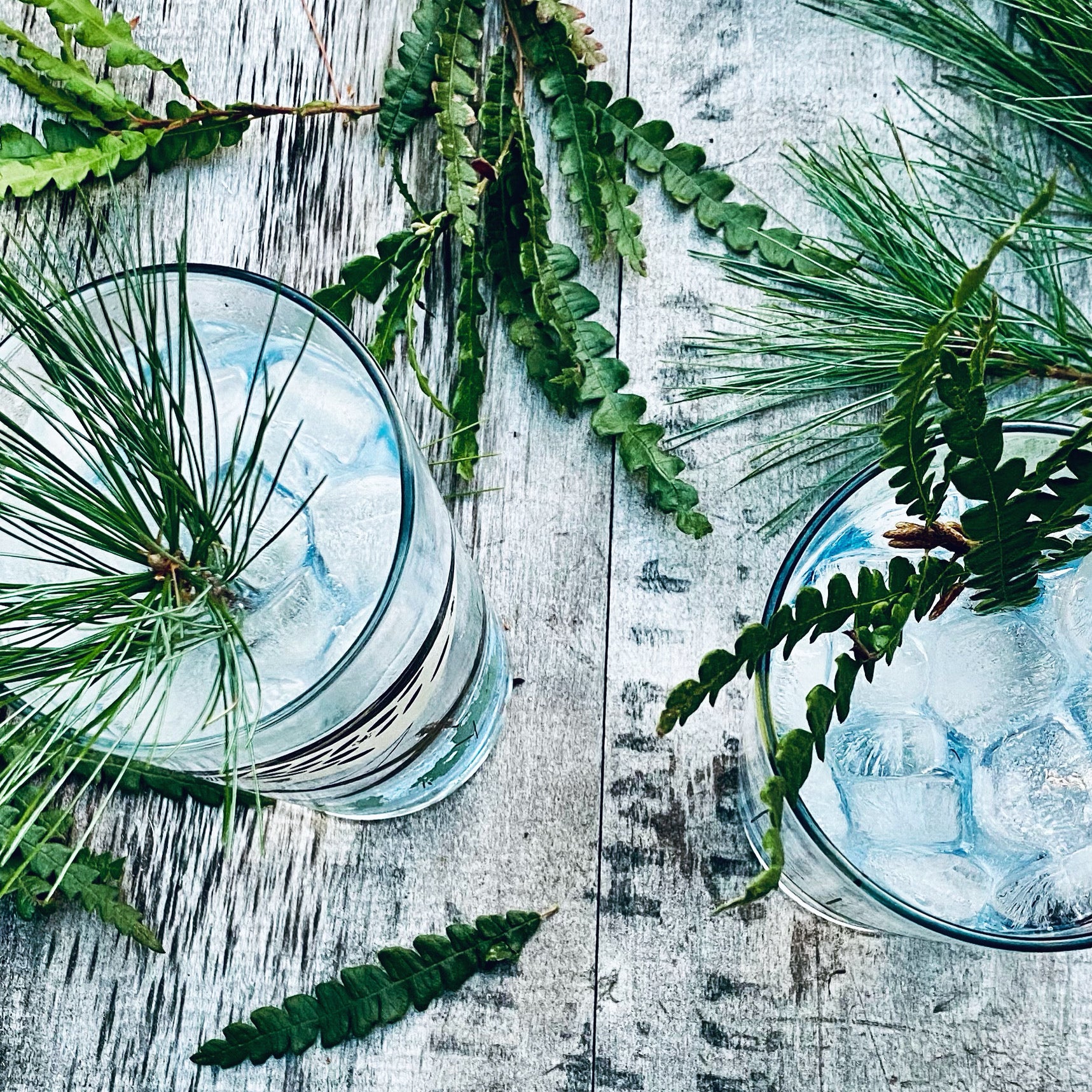 All – Wild Bevy Distilling